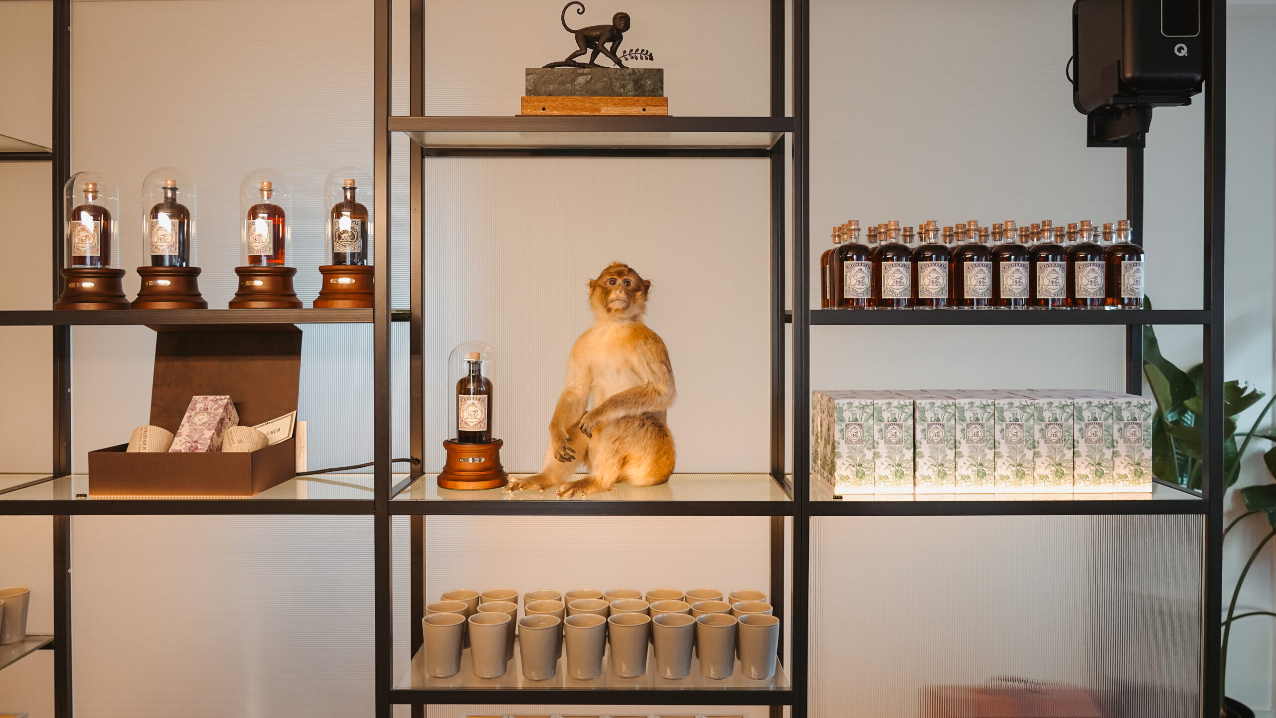 Μια Monkey 47 εμπειρία στην καρδιά του γερμανικού Black Forest | VOGUE.GR